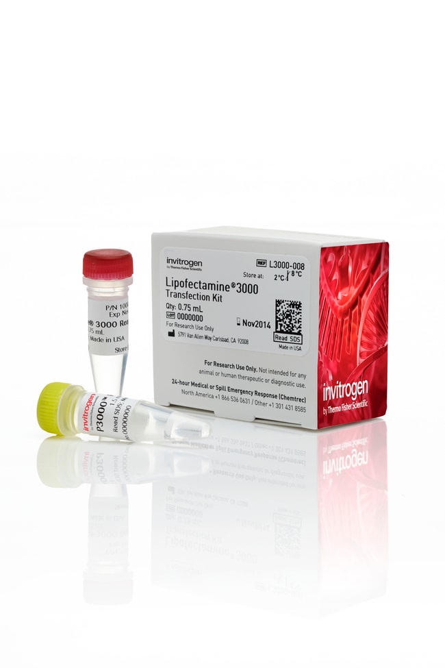 Invitrogen Lipofectamine 3000 Transfection Reagent 0.75 mL:Life Sciences | Fisher Scientific